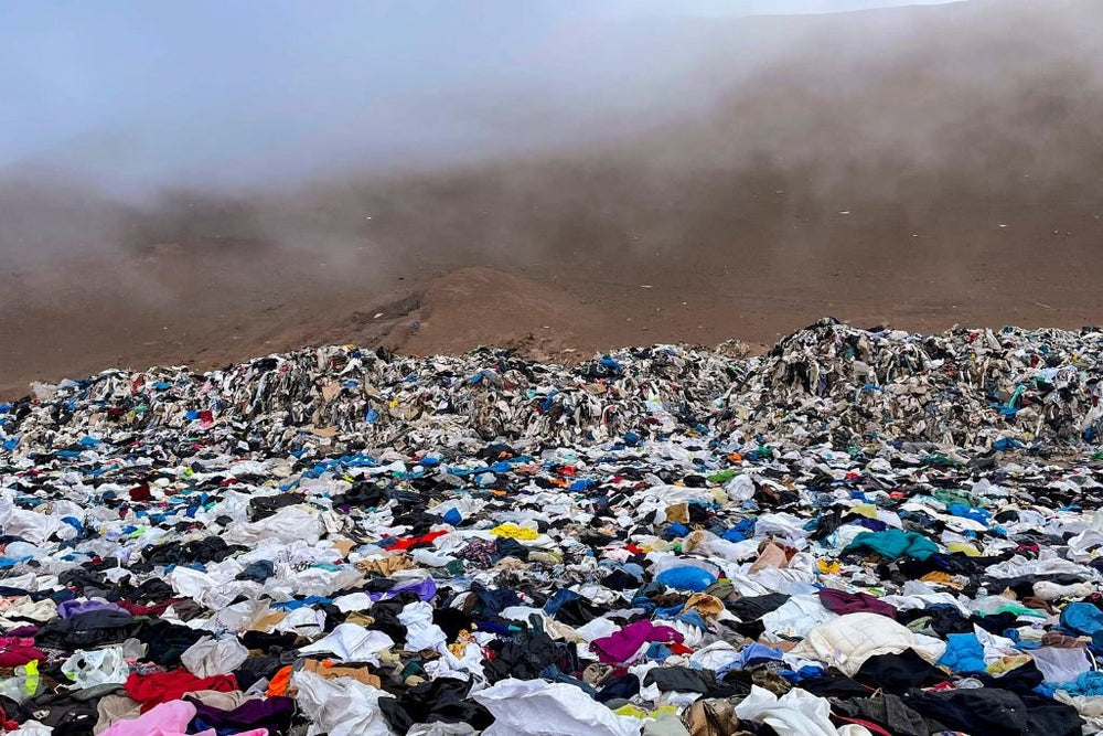 SHEIN and Pollution: Fast Fashion’s Growing Environmental Problem